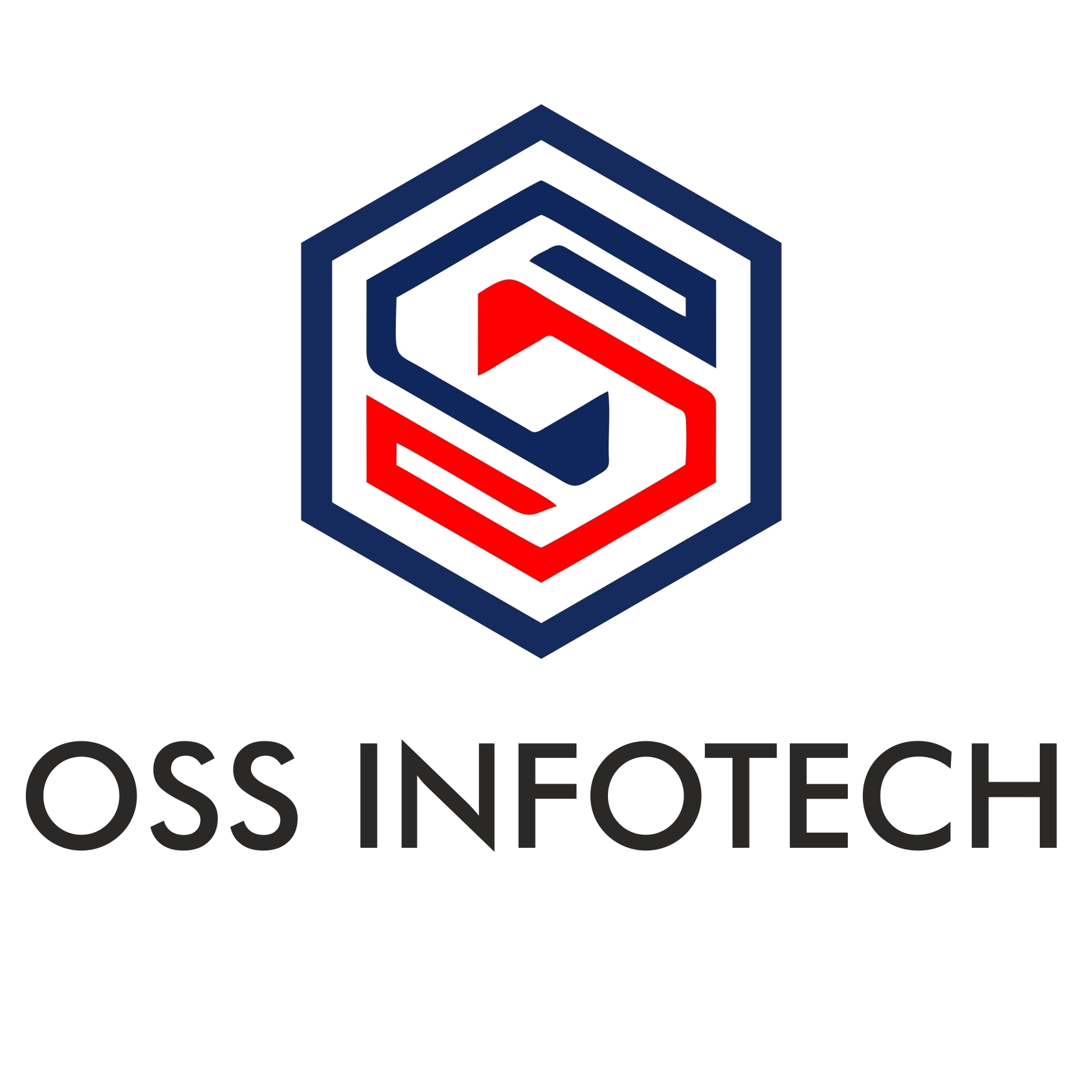 OSS Infotech - A Web Development Company.